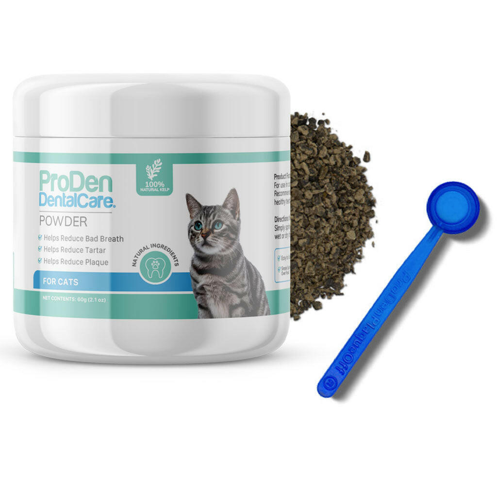 Healthy Teeth for Cats with ProDen DentalCare | HardyPaw