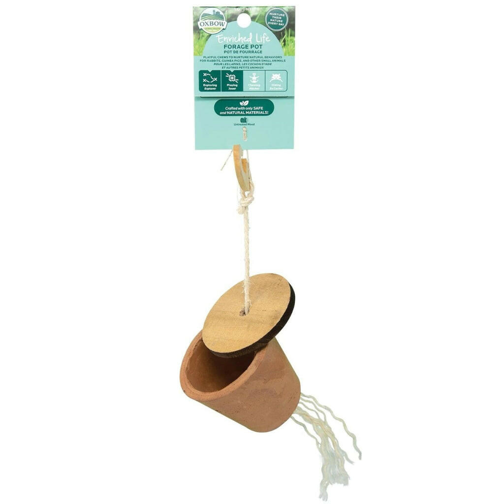 Oxbow Animal Health Clay Forage Pot Chew Toys for Small Animals