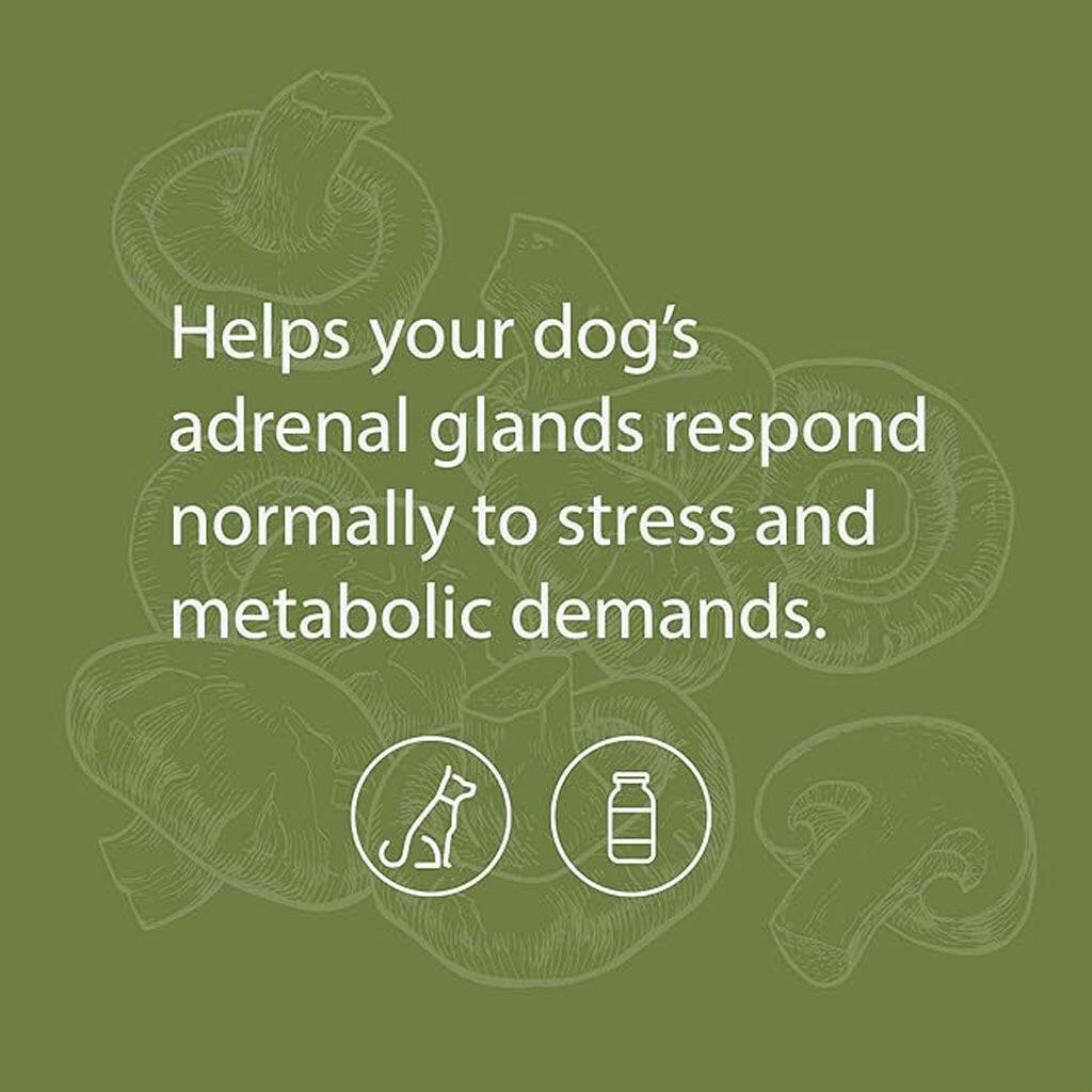 Veterinary Formula: Standard Process Canine Adrenal Support