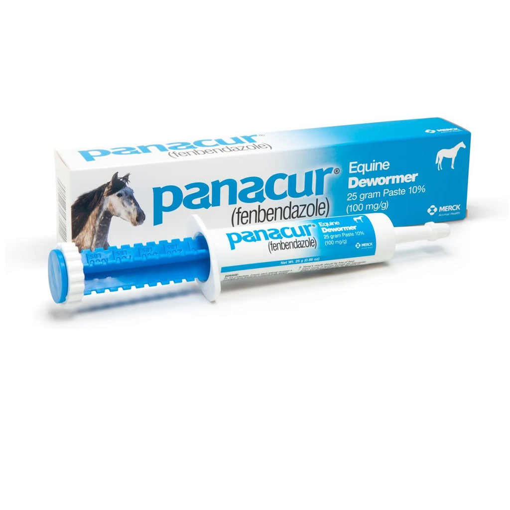 Panacur 10% Horse Dewormer: Gentle & Powerful