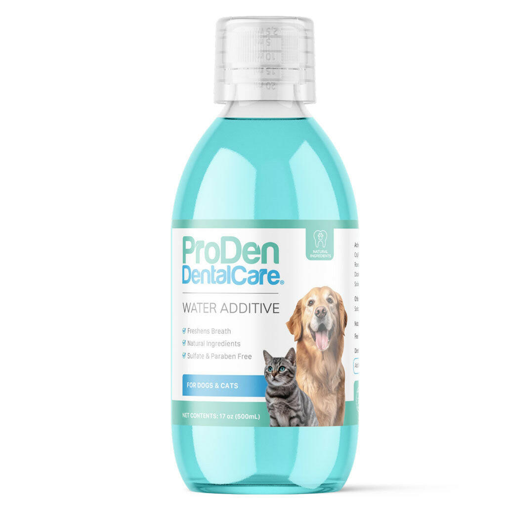 Discover ProDen DentalCare Water Additive Benefits Today!