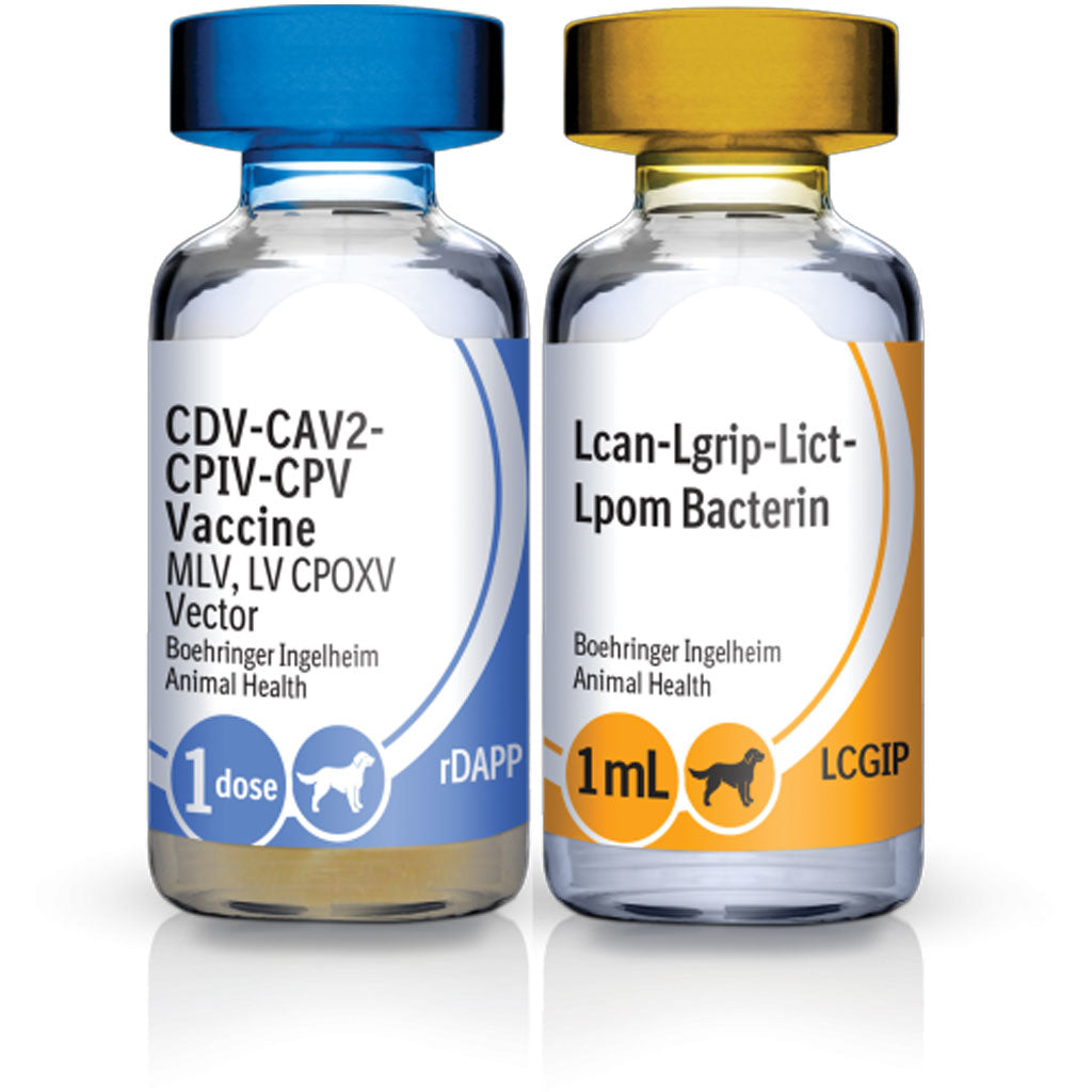 Recombitek C8 rDAPP‑LCGIP Vaccine | 8 Way Protection for Dogs