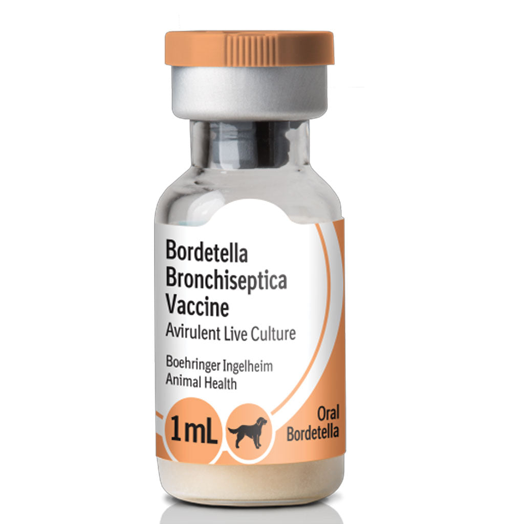 Recombitek Bordetella Vaccine - Oral Protection for Kennel Cough