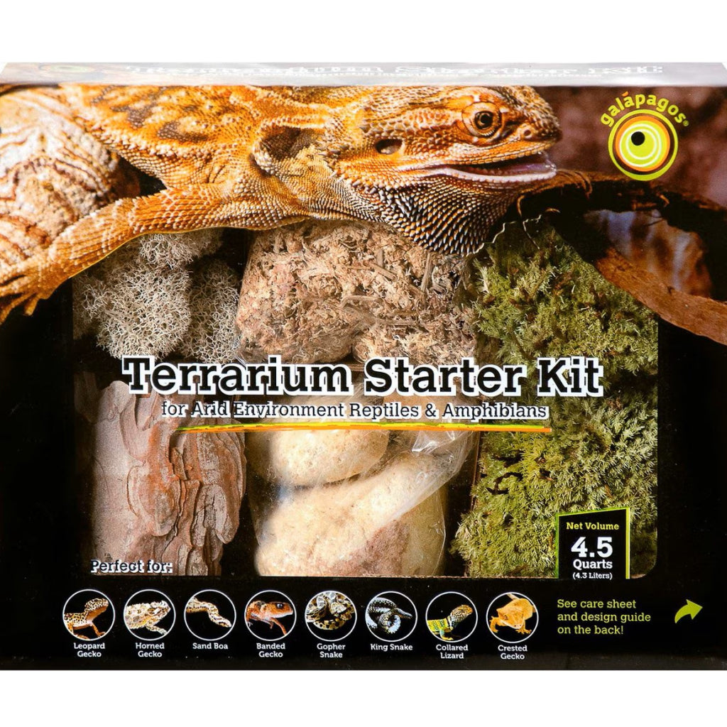 Galapagos Arid Environment Terrarium Kit – Perfect for Reptiles