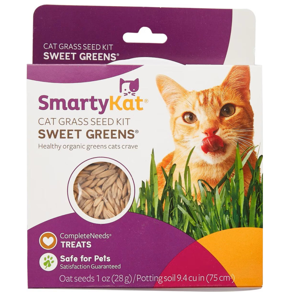 SmartyKat Sweet Greens Organic Oat Grass Grow Kit for Cats