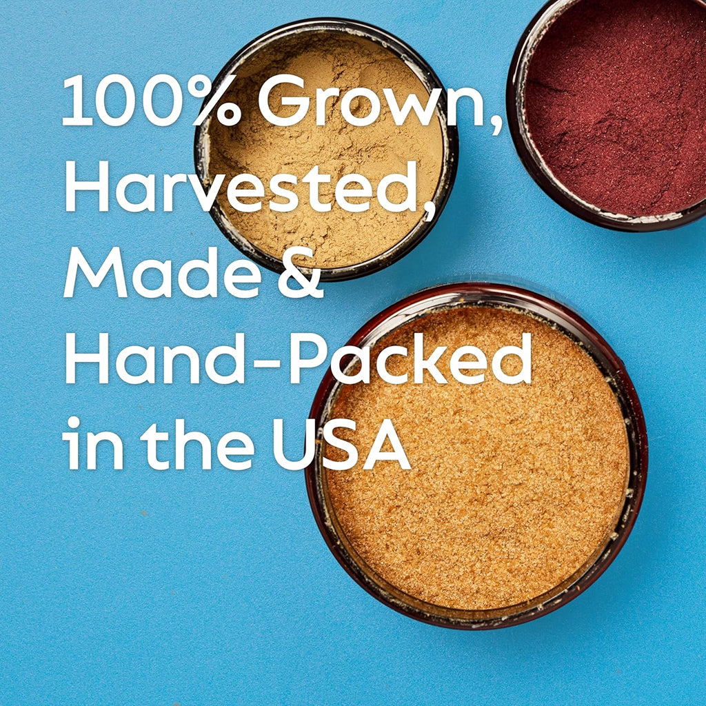 Super Snouts Pumpkin Latte Immunity & Digestion Supplement for Dogs