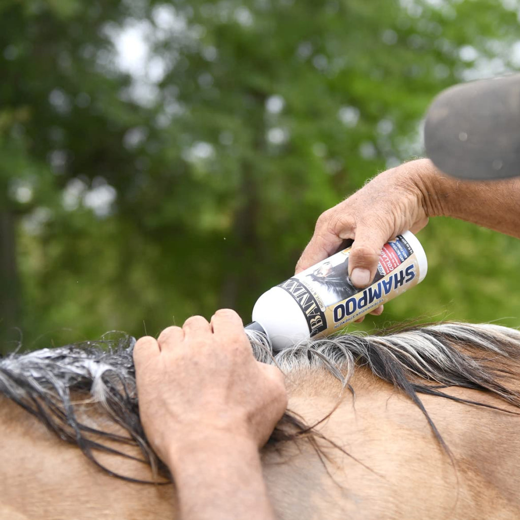 Banixx Horse & Pet Care Antifungal & Antibacterial Shampoo with Collag