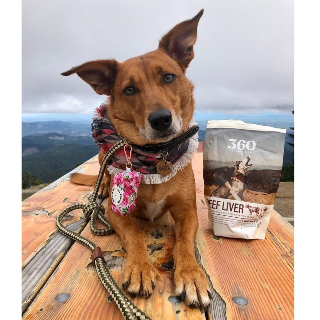 360 Pet Beef Liver Freeze-Dried Raw Dog Treats