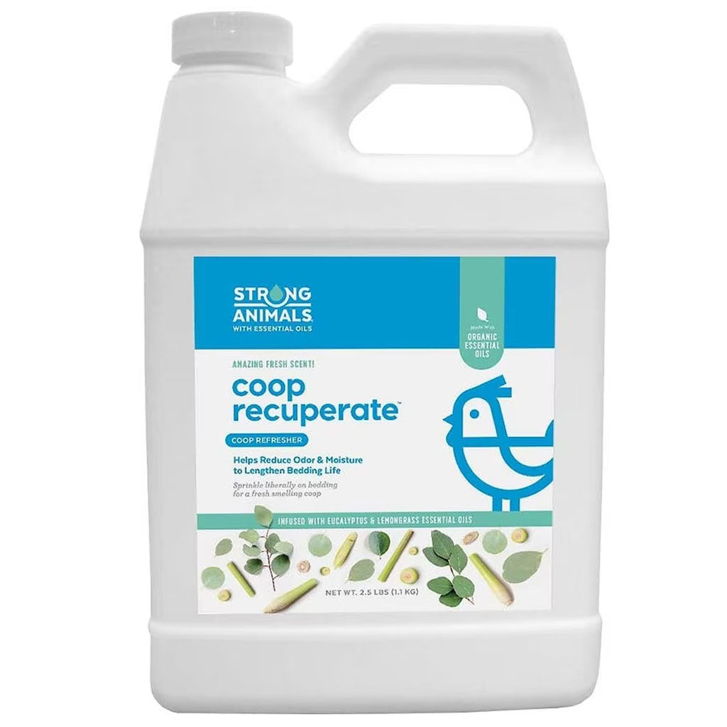 Strong Animals Poultry Coop Refresher: Fresh Air!