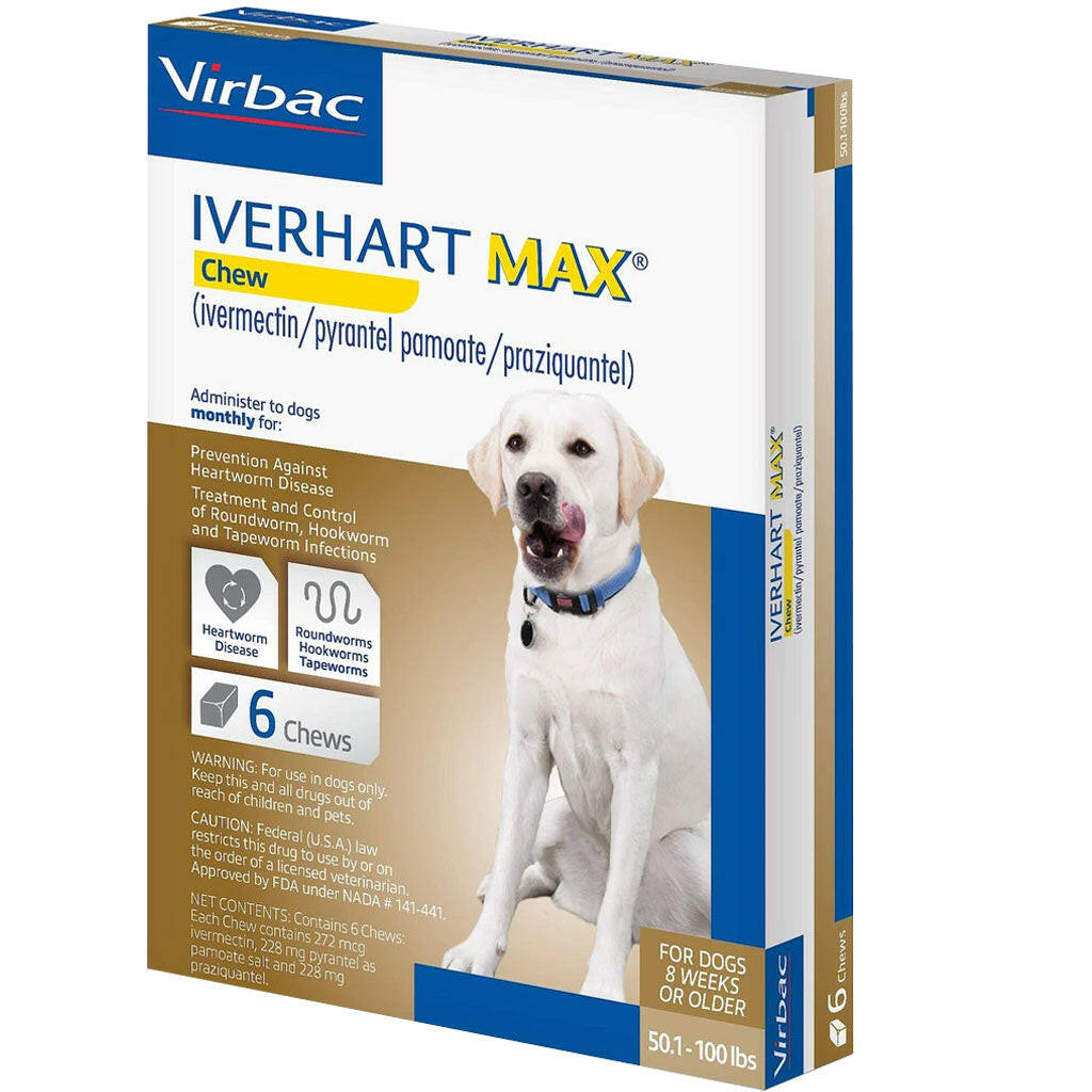 Shop Iverhart Max for Dog Heartworm Protection - 50.1-100 lbs