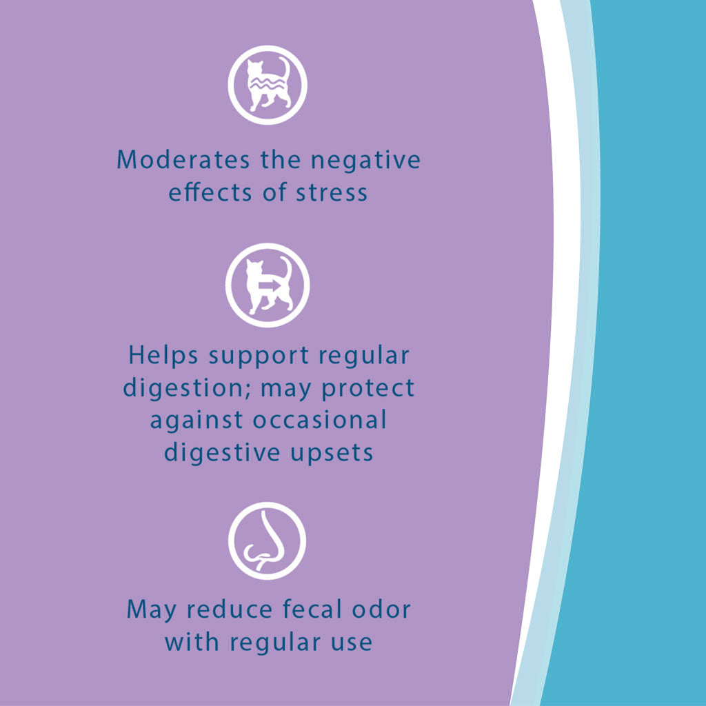 Synacore for Cats – Probiotic & Vitamin Formula for Immune Support