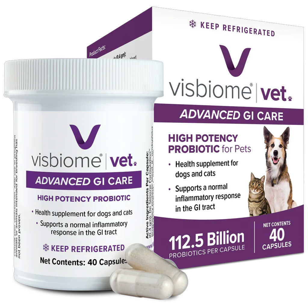 Visbiome Vet Probiotic Capsules for Dogs & Cats - 112.5B CFUs (40ct)