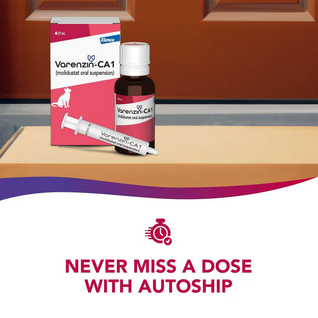 Varenzin-CA1 - Molidustat Oral Suspension for Cat Anemia Treatment