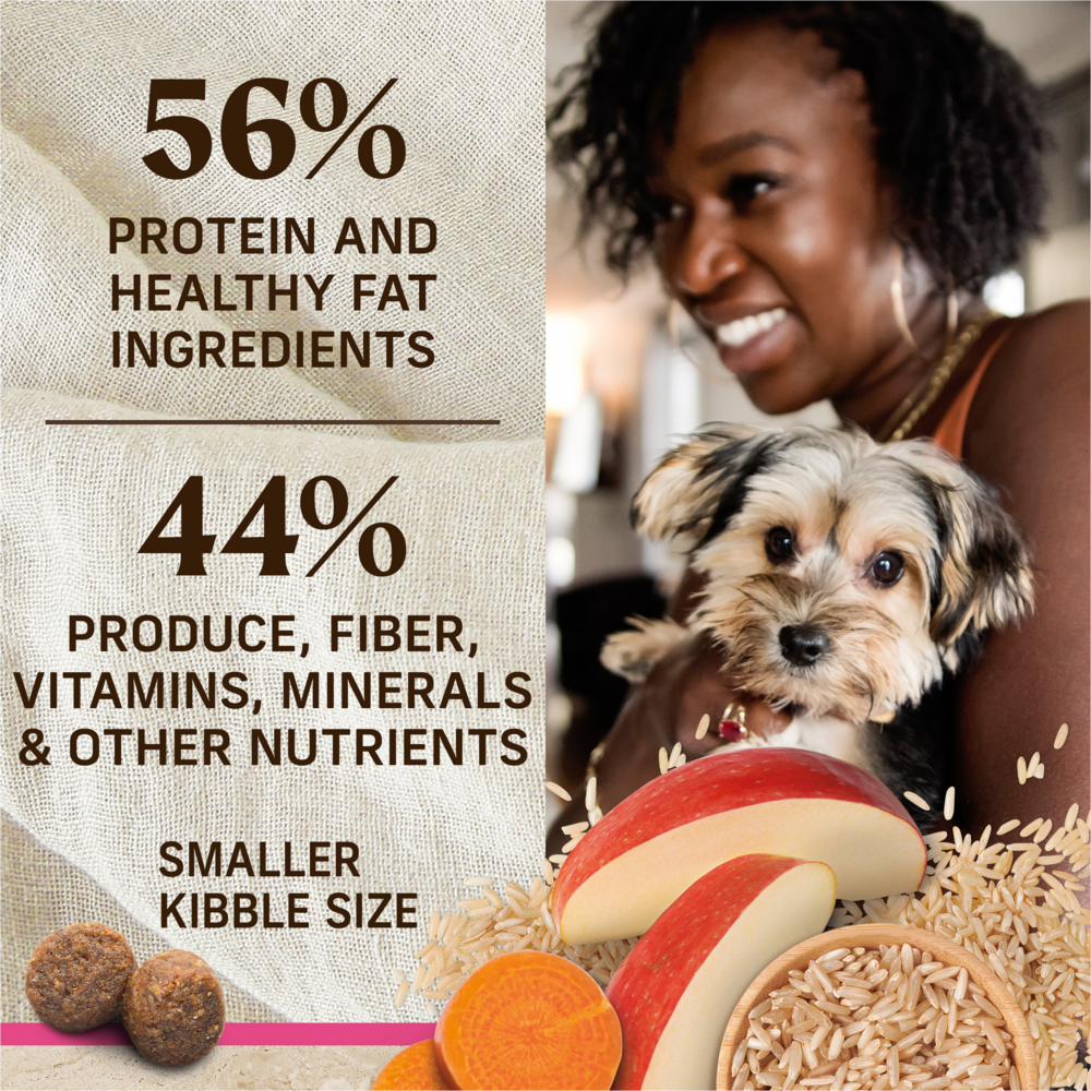 Merrick Healthy Grains Premium Dry Wholesome And Natural Kibble Small