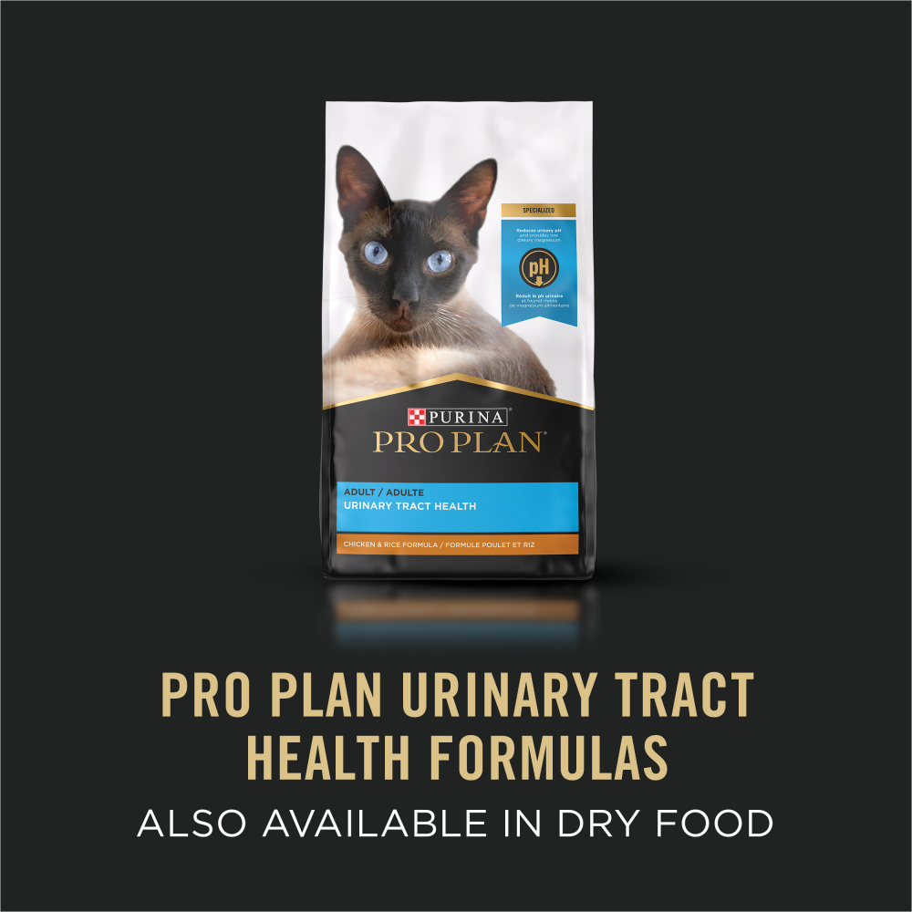 Purina Pro Plan Focus Adult Urinary Tract Health Formula Turkey and Gi