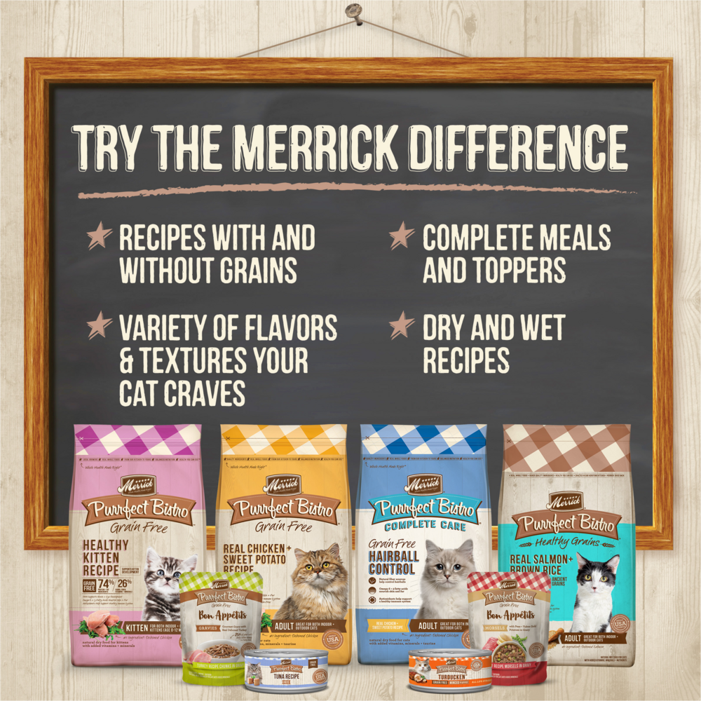 Merrick Purrfect Bistro Grain Free Premium Canned Pate Adult Wet Cat F