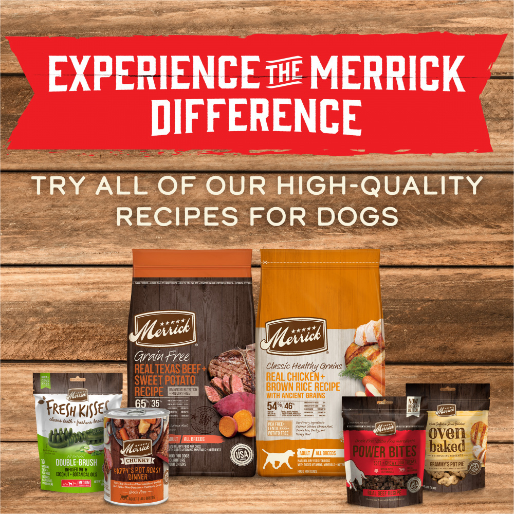 Merrick Wet Dog Food Slow-Cooked BBQ Texas Style with Braised Beef Gra