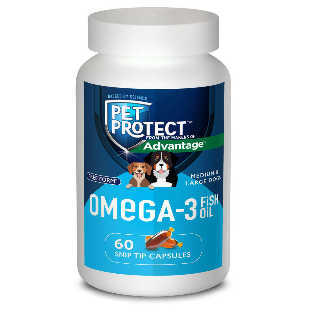 Pet Protect: Omega-3 Snip Tips for Larger Dogs | HardyPaw