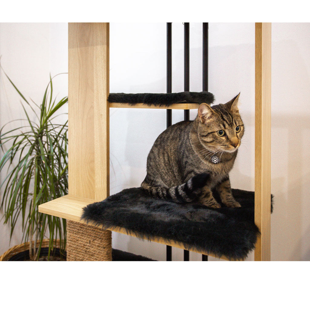 4 Cats & Dogs Cali Cat Tree – Stylish & Durable Cat Playground