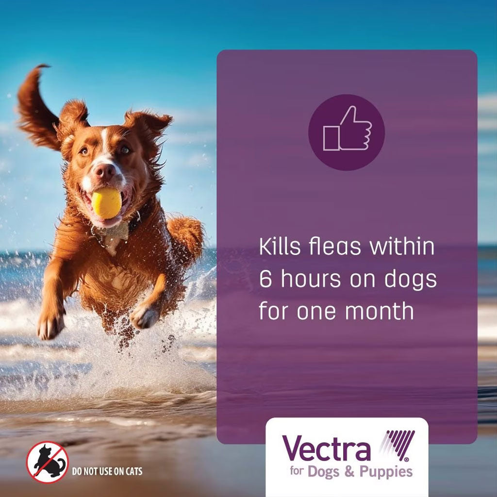Protect Your Pup with Vectra Dogs Flea & Tick Spot Treatment