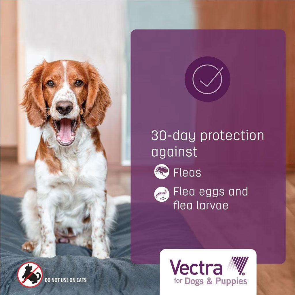 Protect Your Pup with Vectra Dogs Flea & Tick Spot Treatment