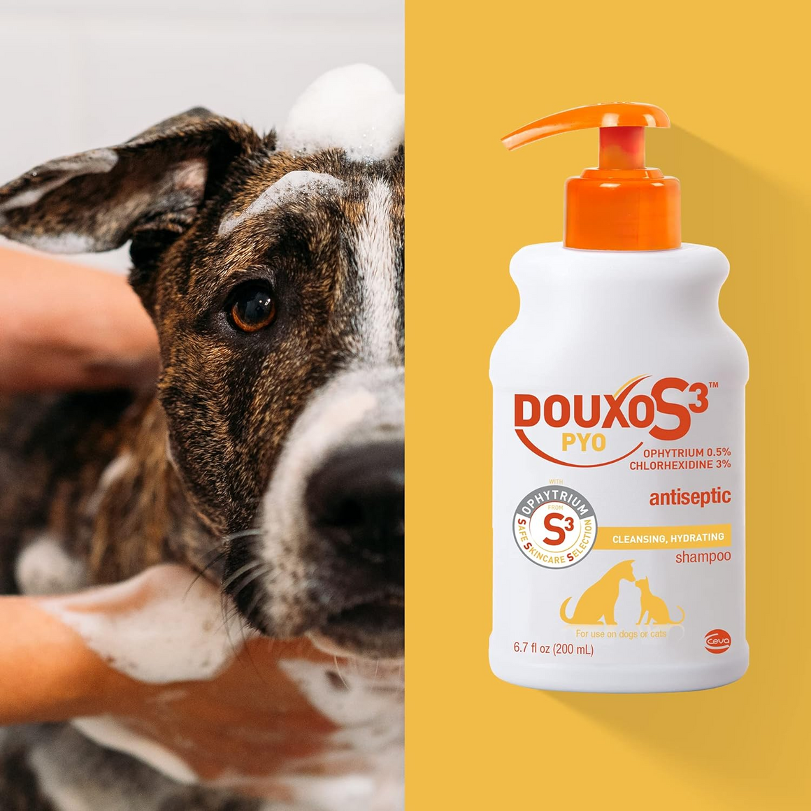 Douxo S3 PYO Antiseptic & Antifungal Shampoo for Dogs & Cats