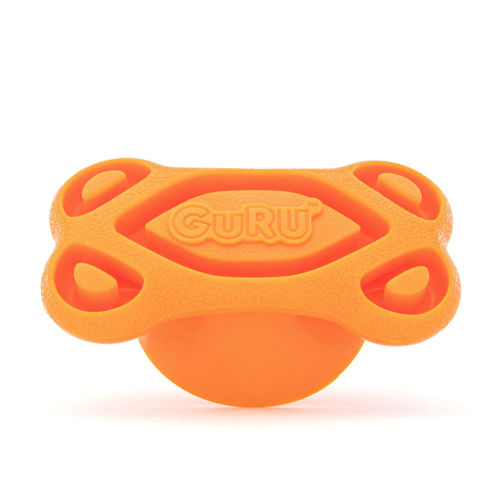 Engaging Play with GURU Distracto-Pod Bone Treat Dispenser