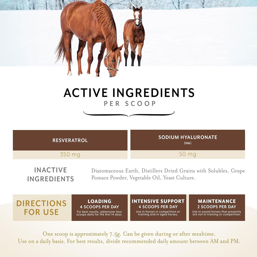 Equithrive Original – Powdered Horse Joint Supplement with Resveratrol