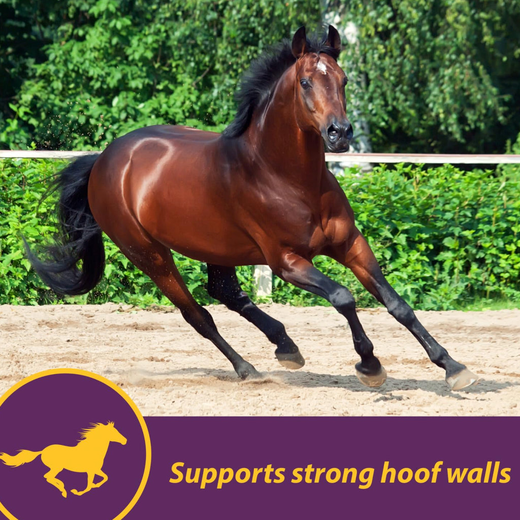 Horse Health Vita-Biotin Crumbles - Hoof Growth Supplement