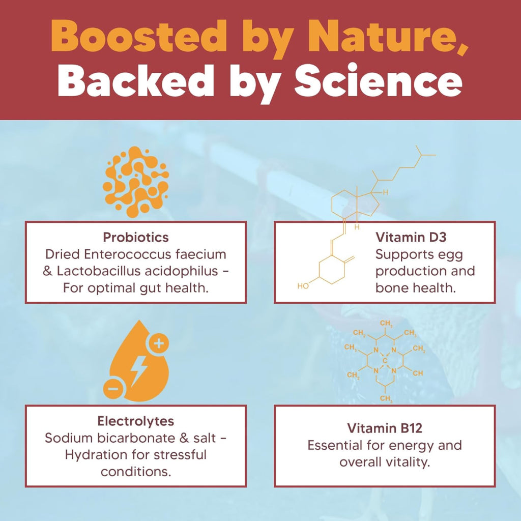 Flock Pro Hen Boost: Probiotics & Digestive Enzymes for Poultry