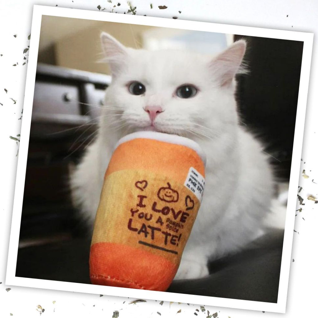 Meowijuana "Get Spooked" - Spiced Latte Fillable Catnip Toy
