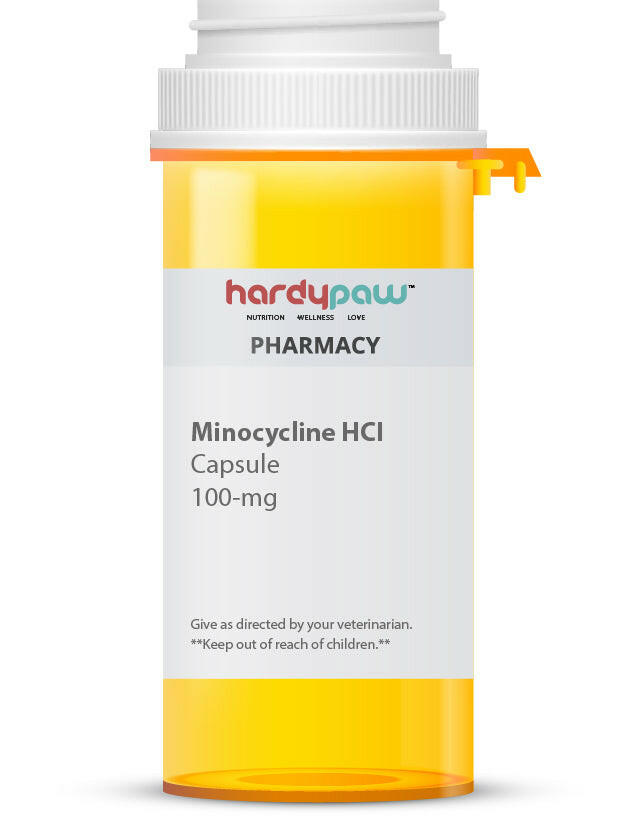 Minocycline Capsules - Antibiotic for Bacterial Infections