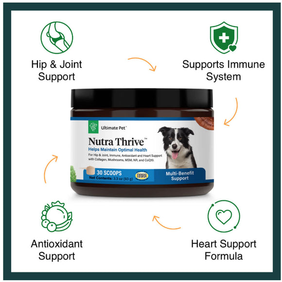 Nutra Thrive Dog Supplements: Vital Nutrients for Health