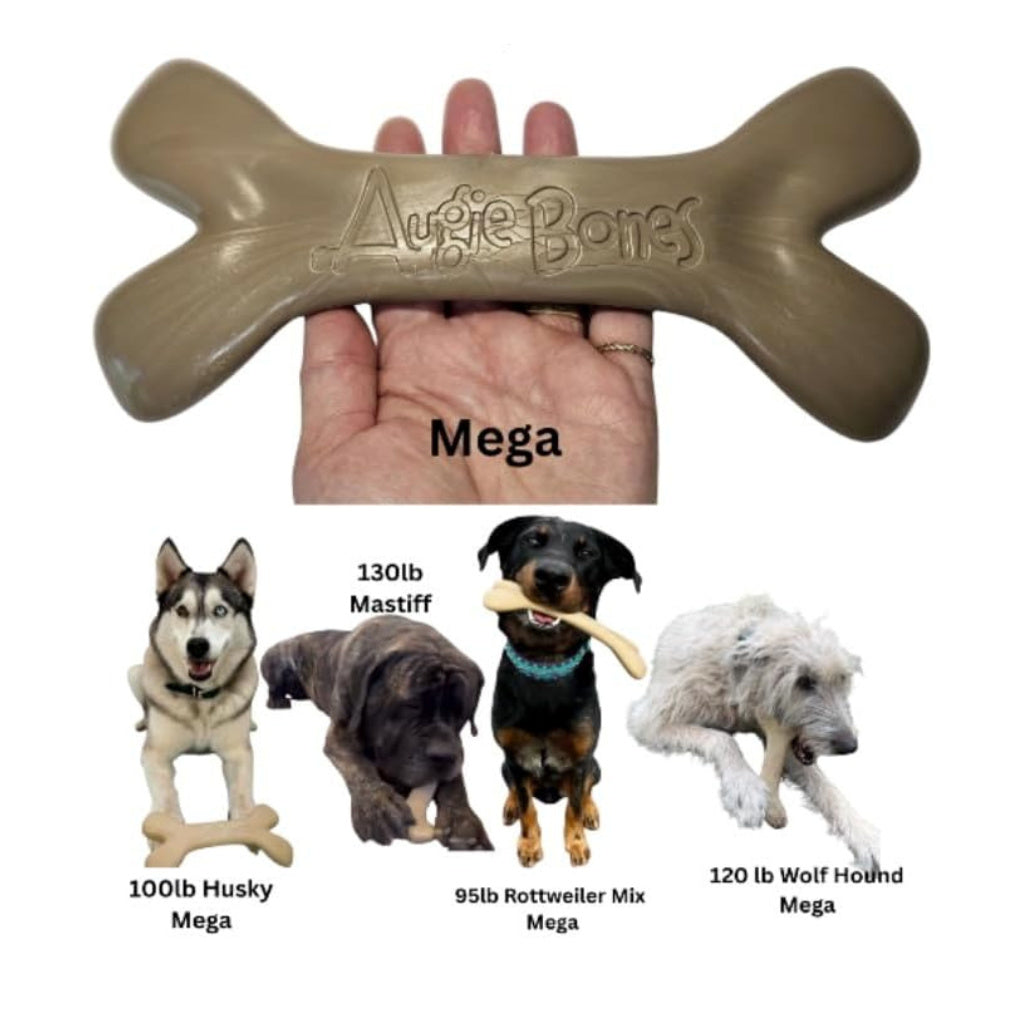 Augie Bones Tough Beef Chew Toy Small Dogs Mini