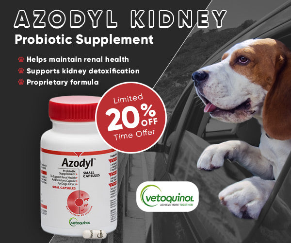 Pet Store - Best Pet Food, Pet Supplies & Products - Hardy Paw