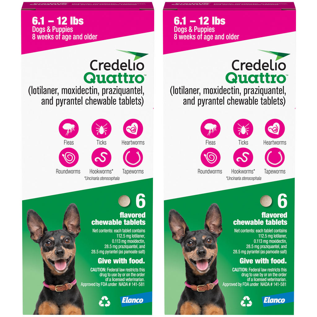 Credelio Quattro 6-in-1 Protection Chewable Tablets for Dogs
