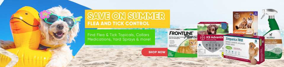 Hardy Paw Online Pet Supplies Store
