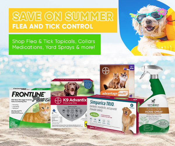 Hardy Paw Online Pet Supplies Store