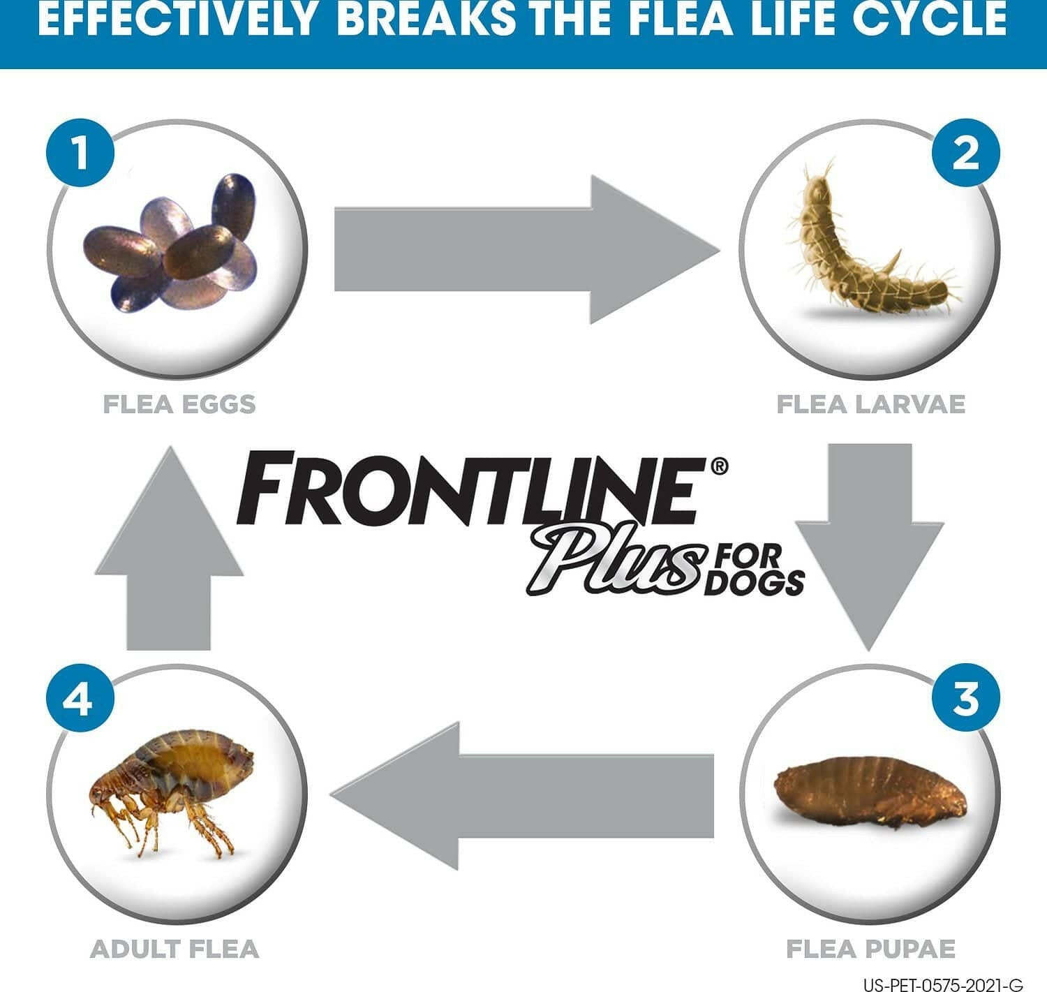 Frontline Plus Flea & Tick Protection for Medium Dogs, 23-44 lbs
