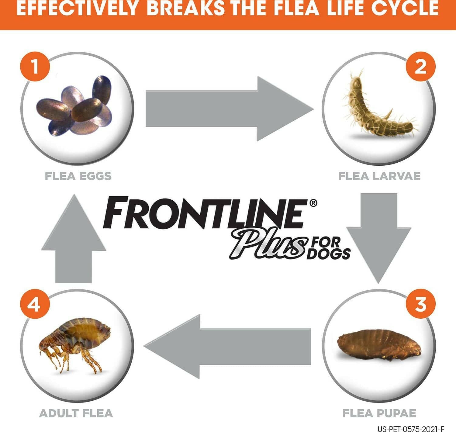 Frontline Plus Flea & Tick Protection for Small Dogs, 5-22 lbs