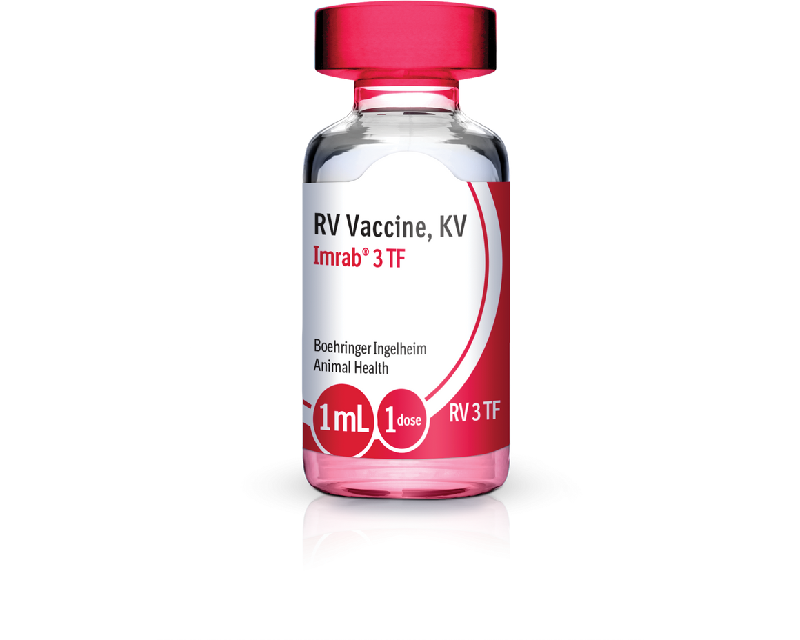 IMRAB 3 TF Rabies Vaccine for Dogs, Cats & Ferrets