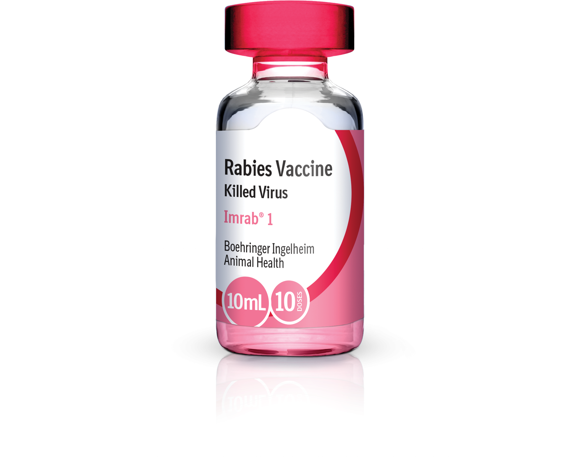 Imrab 1 Year Rabies Vaccine – Reliable Protection for Pets