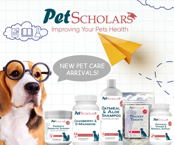 Hardy Paw Online Pet Supplies Store