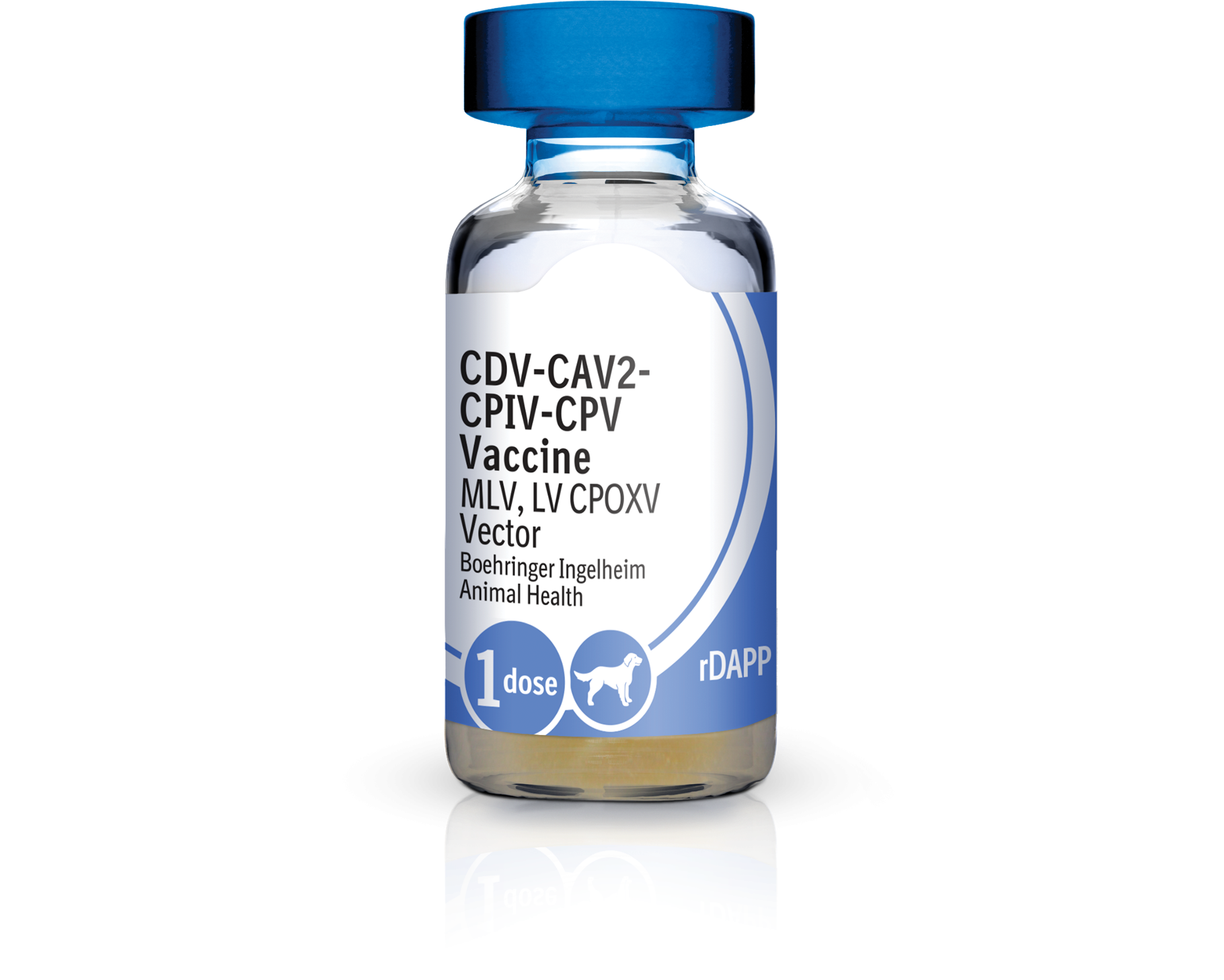 Recombitek C4 Vaccine for Dogs – Protect Against Canine Diseases