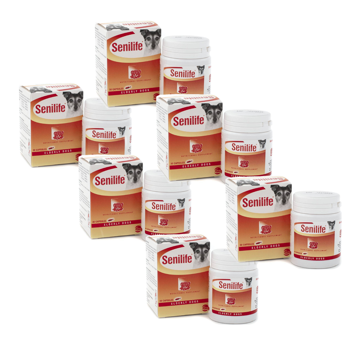 Senilife Cognitive Brain & Health Supplement for Elderly Dogs