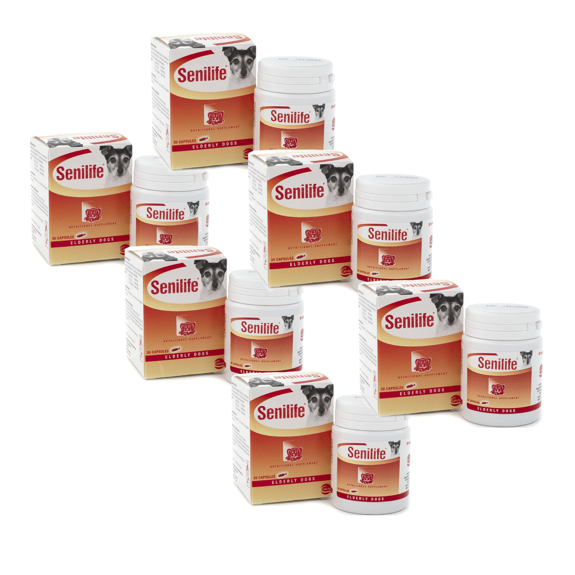 Senilife Cognitive Brain & Health Supplement for Elderly Dogs