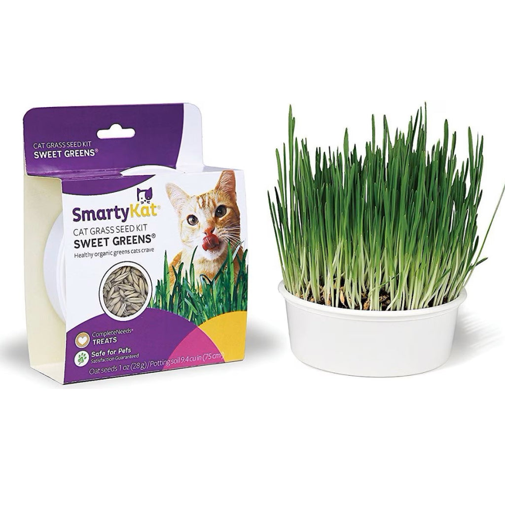SmartyKat Sweet Greens Organic Oat Grass Grow Kit for Cats