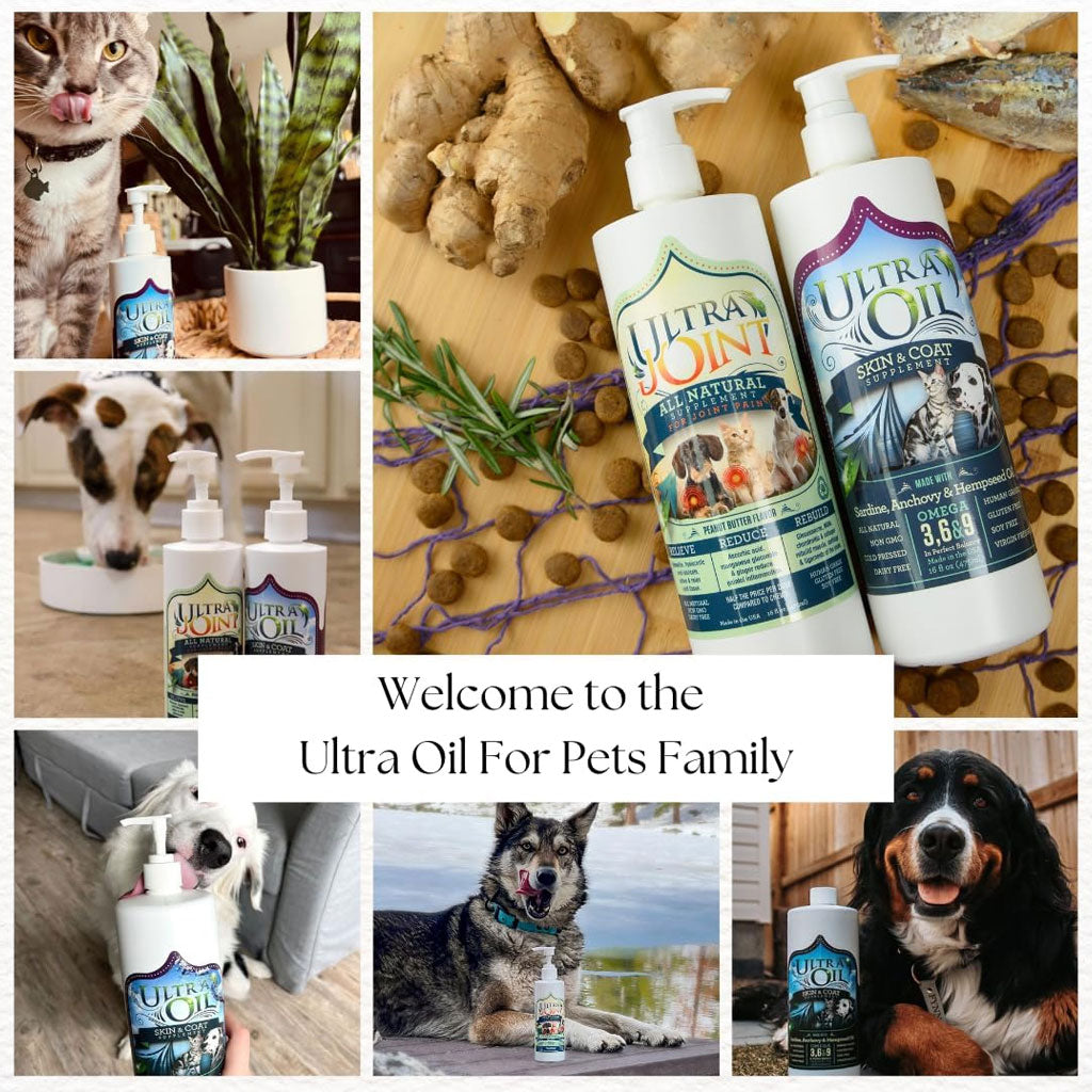 Ultra Oil Skin & Coat Supplement for Dogs & Cats – Shiny, Healthy Coats